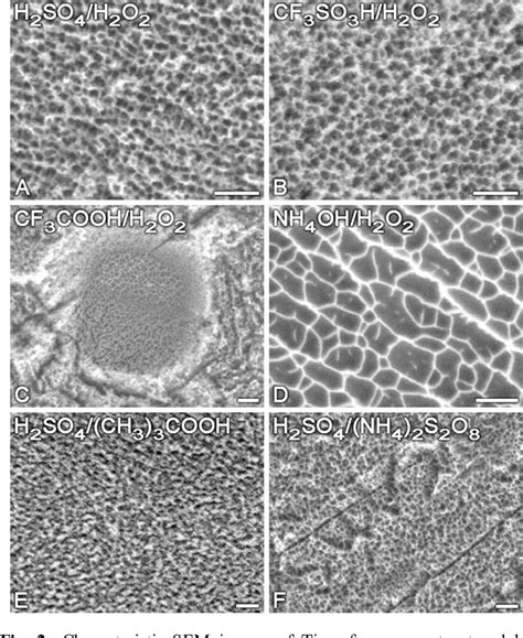 Figure 2 From Nanoscale Surface Modifications Of Medically Relevant