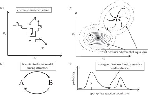 Schematics Showing The Mathematical Hierarchy Of Cellular Dynamics Download Scientific Diagram
