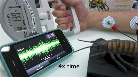 How To Interpret And Analyze Muscle Fatigue Lab Answers A Comprehensive Guide