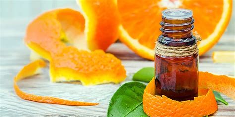 Laranja Amarga é Laranja Moro Entenda As Diferenças E Benefícios à Saúde