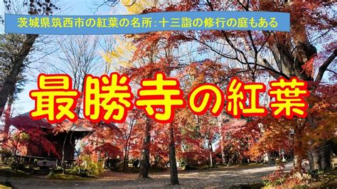 最勝寺の紅葉茨城県筑西市の紅葉の名所十三仏をモチーフにした石庭と京都の職人が手掛けた苔の美しい回遊式庭園が美しい YouTube