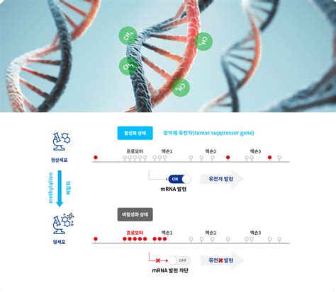 Science 주지노믹트리