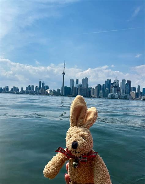 My Dear Community 3 Awesome Years In Canada Cannot Be Summarized In A Few Sentences Your Vibe