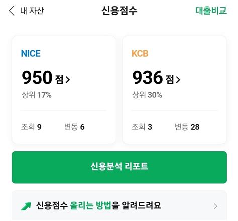 블라인드 블라블라 신용점수 이정도면 높은편