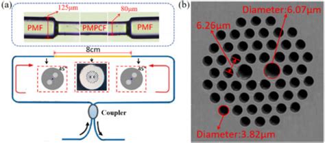 A Structure Diagram Of The Sensor B The Cross Section Of The Pmpcf