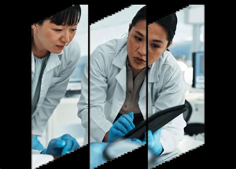 Embase The Comprehensive Medical Research Database Elsevier