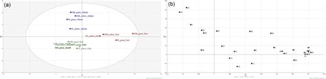 A Comparative Metabolomic Investigation Of Different Sections Of Sicilian Citrus X Limon L