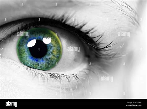 Close Up Eye Of A Woman With Coloured Pupil Stock Photo Alamy