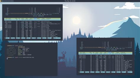 [awesomewm] Void Is Da Best Scrolller
