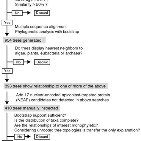 Phylogenomic Analysis Pipeline The Procedures Used To Analyze Assess Download Scientific