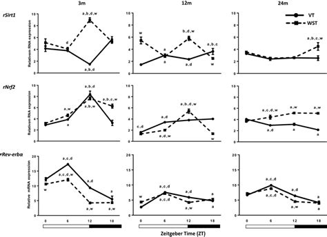 Effect Of Administration Of Hydro Alcoholic Leaf Extract Of Withania