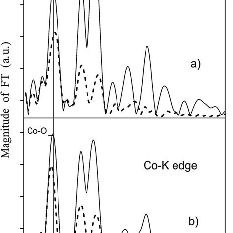Radial Distribution Function Rdf Curves Describing A Fe And B Co