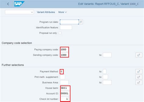F110 In Sap Automatic Payment Program App Sapficoblog