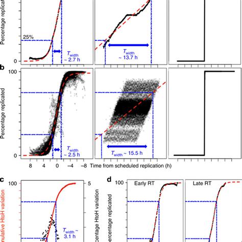 Measuring Single Cell Replication Variability A Cell To Cell
