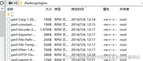 Nginx部署web项目(跟着搞不出来,来砍我) Csdn博客 Nginx部署web项目(跟着搞不出来,来砍我) Csdn博客