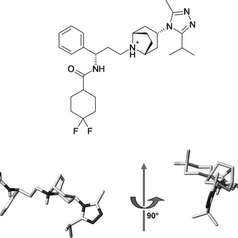 Chemical Structure Of Maraviroc Top And Presumed Active Download Scientific Diagram