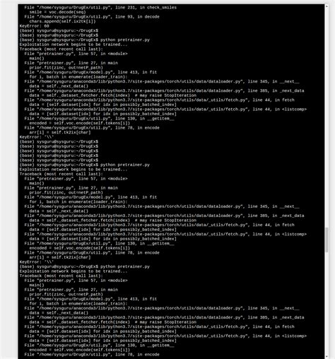 Keyerror Has Been Occurred When I Run Pretrainer Py Issue