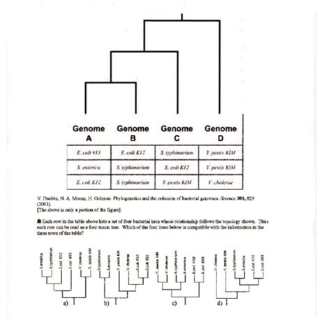 This Question Is Based On Session The Chegg