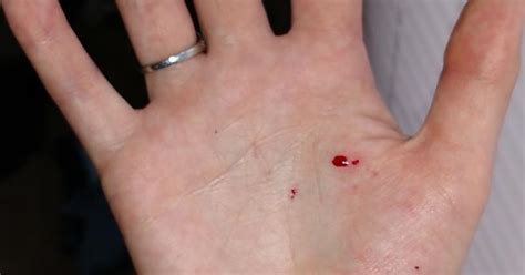 My Python Missed Her Food And Tried To Eat Me Instead Shes A Danger Noodle Today Album On Imgur