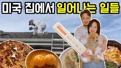 🇺🇸 신혼같은 8년차 부부의 미국 일상 브이로그 Youtube