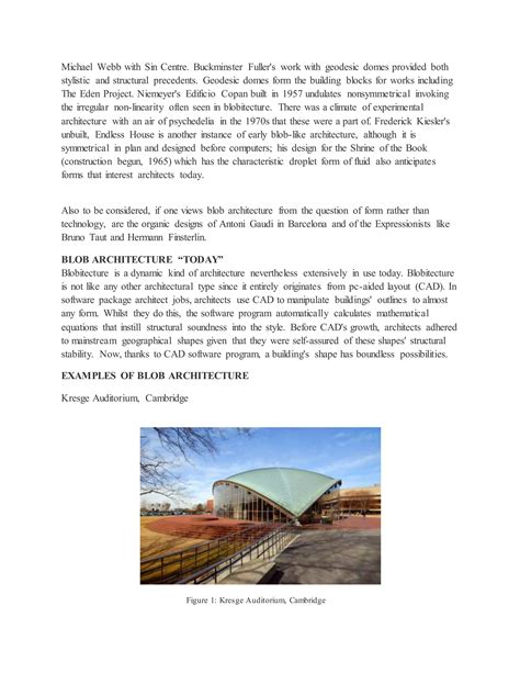 Blob Architecture Research Paper Docx