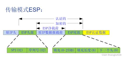 Ipsec详解 Leagueandlegends 博客园