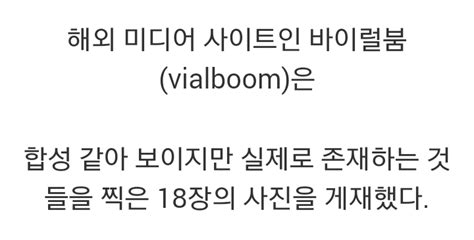 합성 같은 실제 사진 인스티즈 Instiz 이슈 카테고리