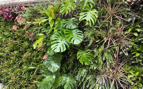 植生牆 Vertical Garden Wall 傑群設計