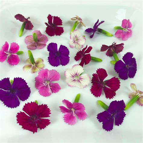 Edible Micro Flowers™ Gourmet Sweet Botanicals