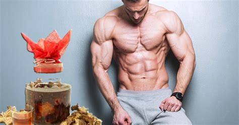 ยาดอง ตัวช่วยเพิ่มสมรรถภาพทางเพศได้ผลจริงหรือไม่