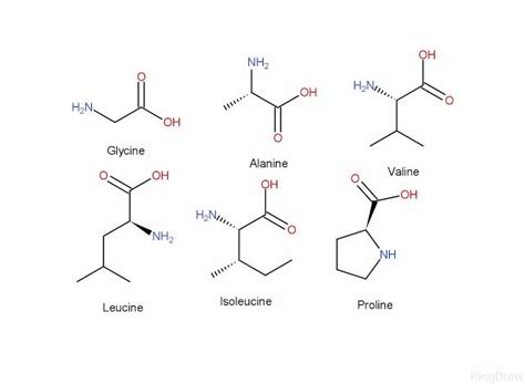 Amino Acids Structures Different Types Of Amino Acids Proteins Are