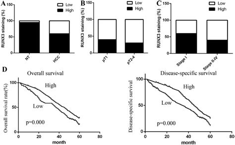 Correlation Between Runx3 Expression And Hcc Clinicopathologic