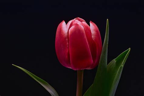 paul modderman on linkedin 34 abap2ui5 sap cva burnout c2c shortwave