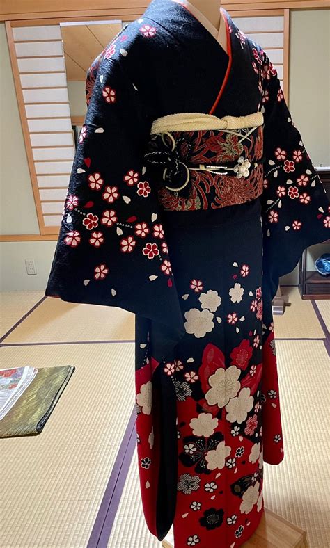 振袖のレッスン 京都・着物マダムのコーディネート覚書、癒しのいぬまる時々登場