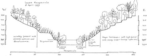 Diagram Of Cross Sectiontransect Quizlet