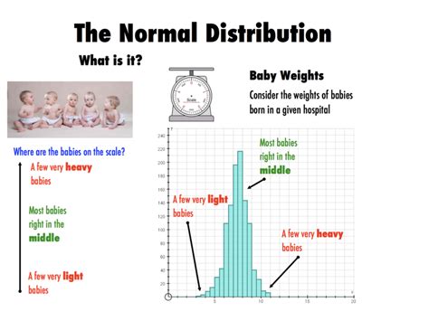 49 Normal Distribution