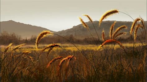 가을 노을진 들판 그리기 아이패드 프로크리에이트 풍경화 Youtube