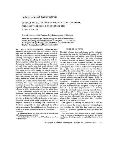 Pdf Manuscripts 107000