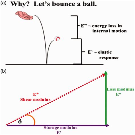 Damping Viscoelastic Material At Gustavo Christensen Blog