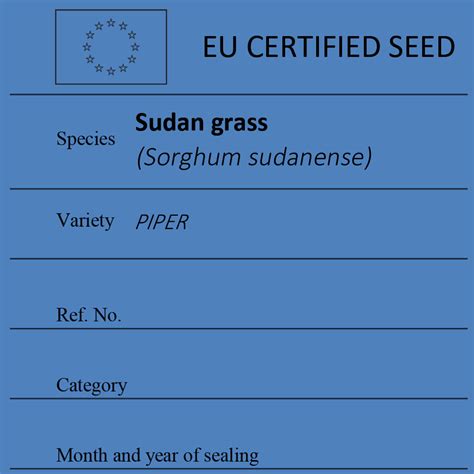 Sudan Grass Certified Seed For Sale Wholesale