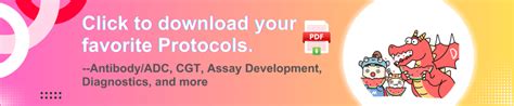 T Endonuclease I T E Assay Protocol For CRISPR Cas GRNA Validation GeneMedi