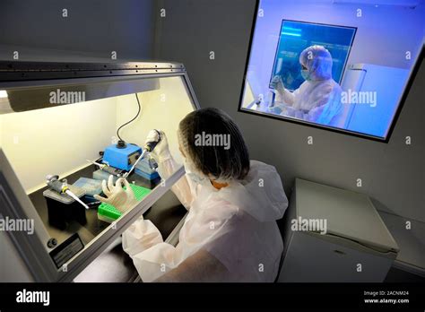 Fossil Dna Analysis Scientist Extracting Dna Deoxyribonucleic Acid