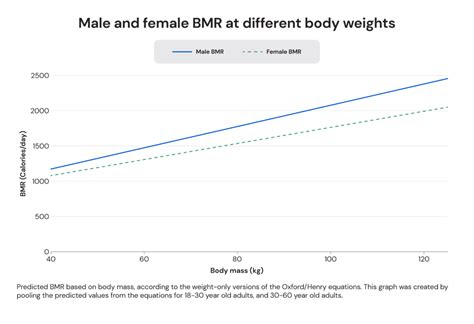 The Impact Of Sex On Basal Metabolic Rate Macrofactor