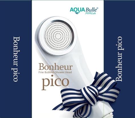 Pico Your Entry To Ultra Fine Bubble World Aqua Bulle Ultra Fine Bubble Solution