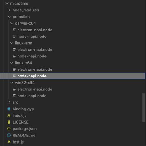 Issue With Microtime Package And Possibly Any Npm Module That Requires Node Add Ons In