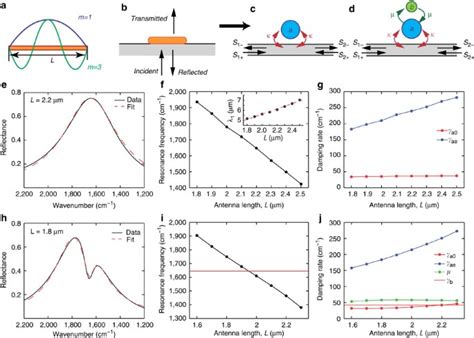 In Situ Ultra Sensitive Infrared Absorption Spectroscopy Of Biomolecule Interactions In Real