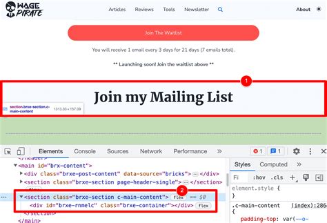 Hide Bricks Elements Using Hasblocks Wagepirate