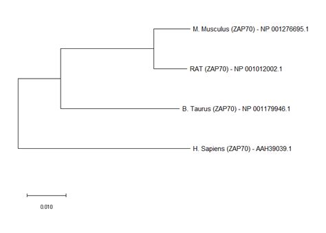 Php Redirect Subdomain To Url On Cloudflare Stack Overflow