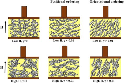 Schematic Of Field Induced Particle Ordering At Low And High Strain Download Scientific Diagram