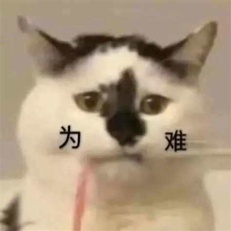表情包 我是工资的奴隶我先睡